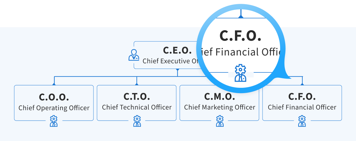 CFO vs CEO: understanding the differences in executive leadership - Blog