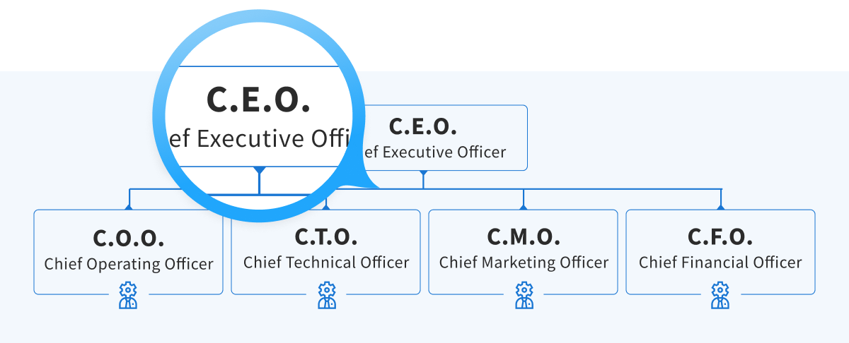 CFO vs CEO: understanding the differences in executive leadership - Blog